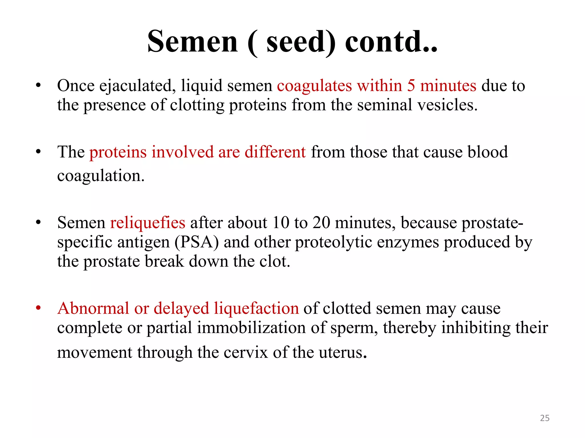 Reproductive system | PDF