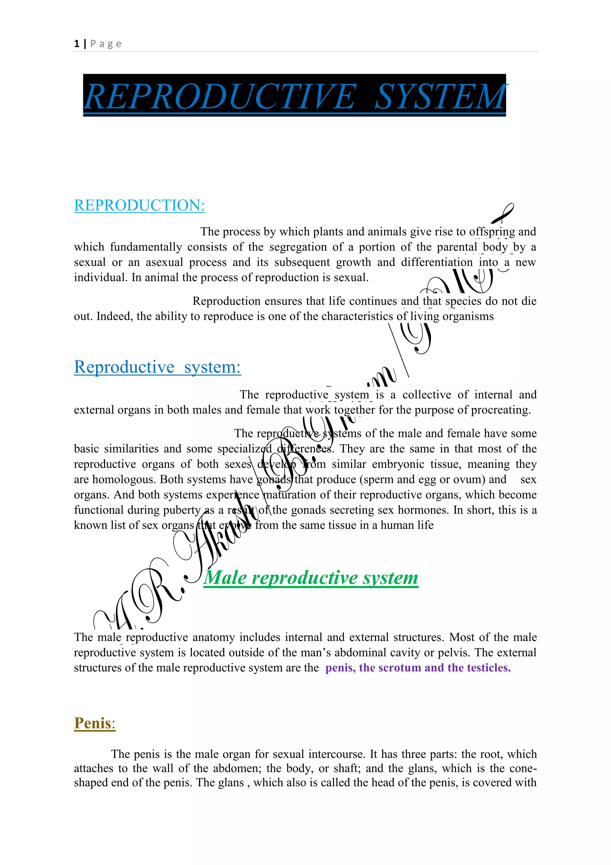 Reproductive system | PDF