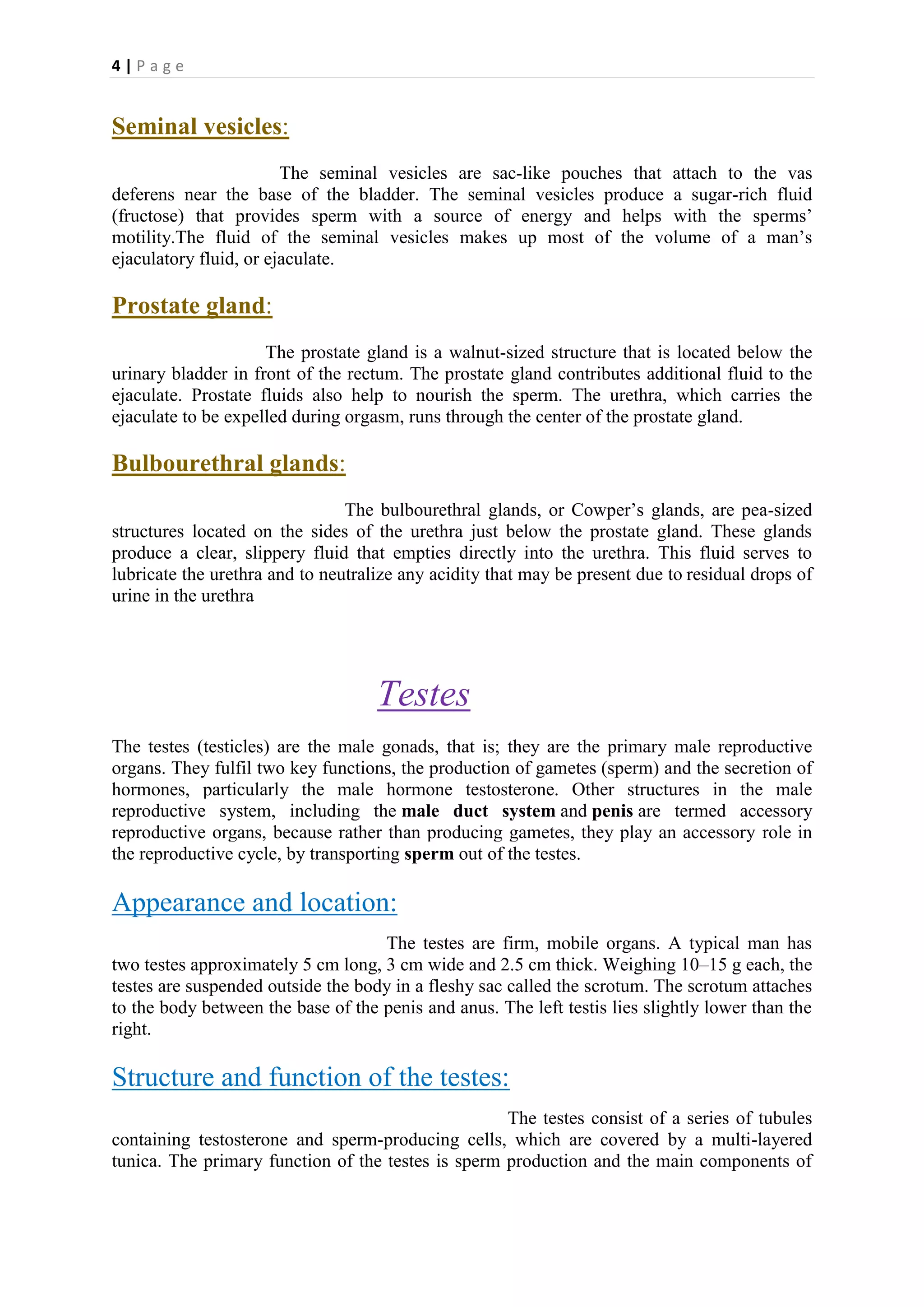 Reproductive system | PDF