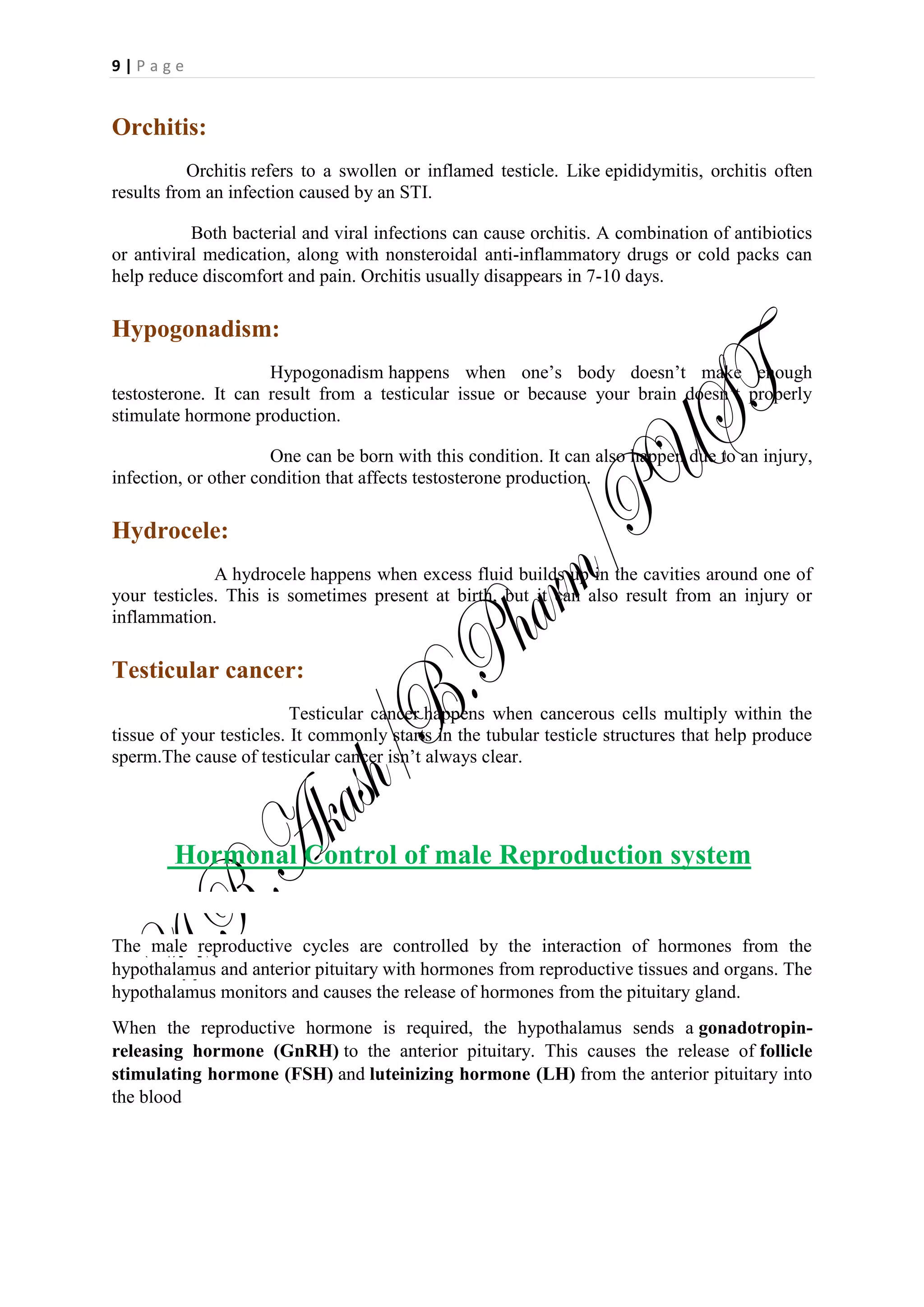 Reproductive system | PDF