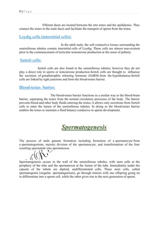 Reproductive system | PDF