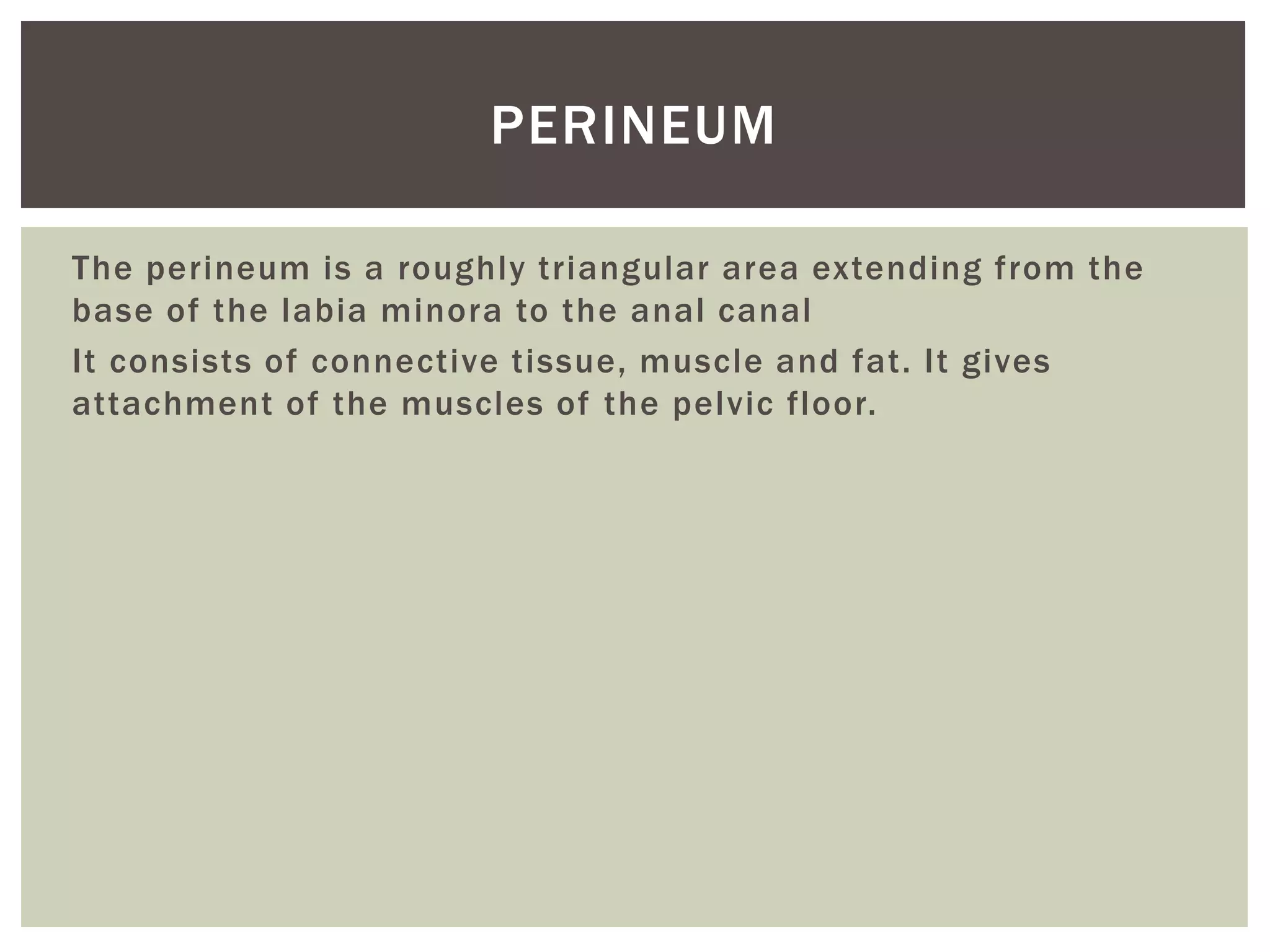 Reproductive system | PPTX