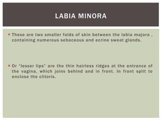 Reproductive system | PPTX | Reproductive Health | Diseases and Conditions