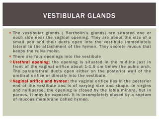 Reproductive system | PPTX | Reproductive Health | Diseases and Conditions