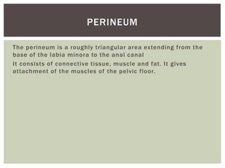 Reproductive system | PPTX | Reproductive Health | Diseases and Conditions