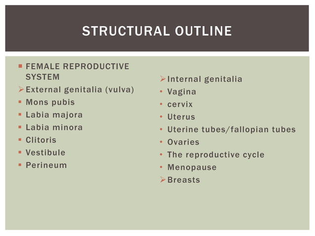 Reproductive system | PPTX | Reproductive Health | Diseases and Conditions