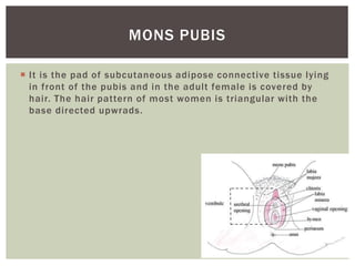 Reproductive system | PPTX | Reproductive Health | Diseases and Conditions