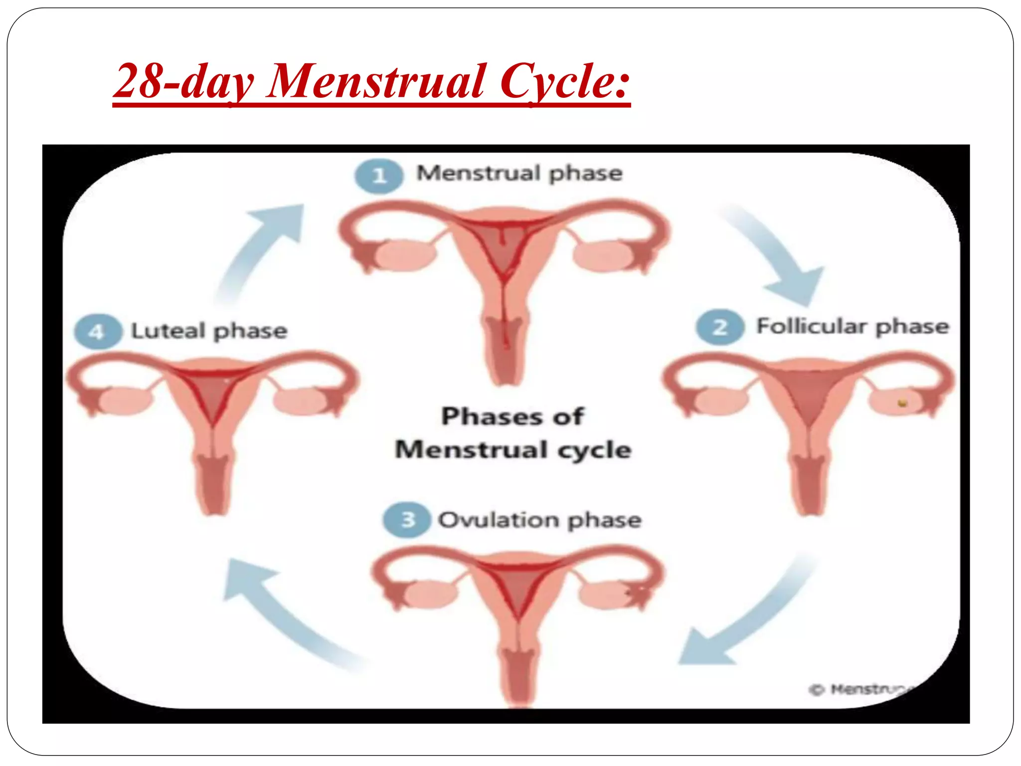 Reproductive system and its Classification | PPT