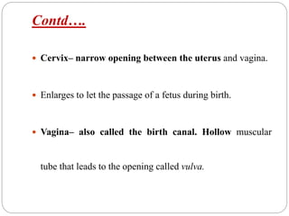 Reproductive system and its Classification | PPTX