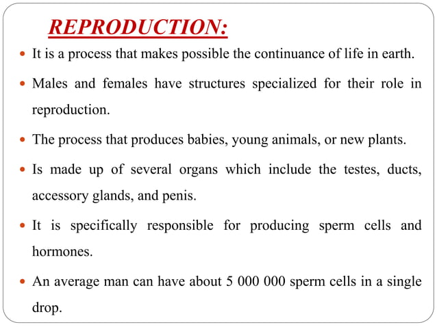 Reproductive system and its Classification | PPT