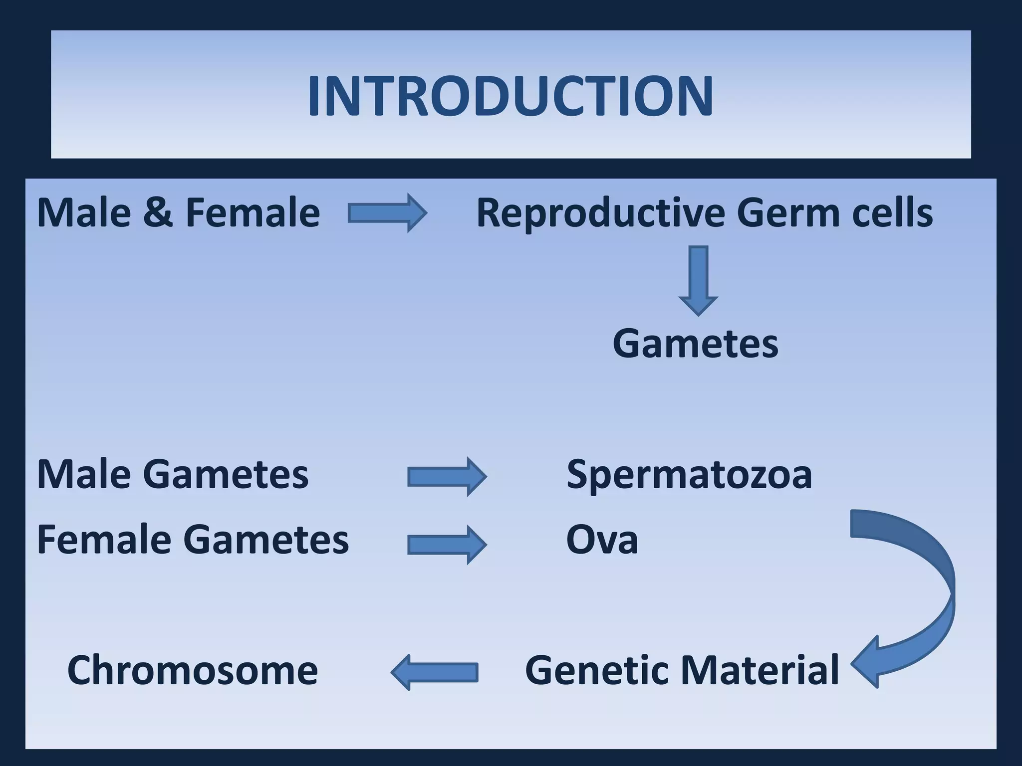 Reproductive system.pptx
