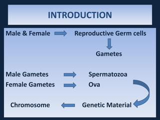Reproductive system.pptx