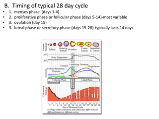 Reproductive System.pptx