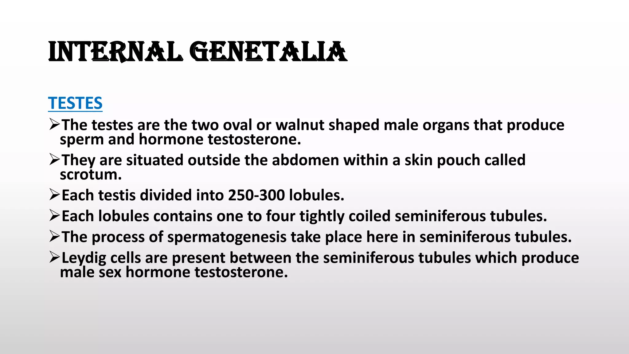 Reproductive System Lecture 1pdf Infertility Reproductive Health 0095