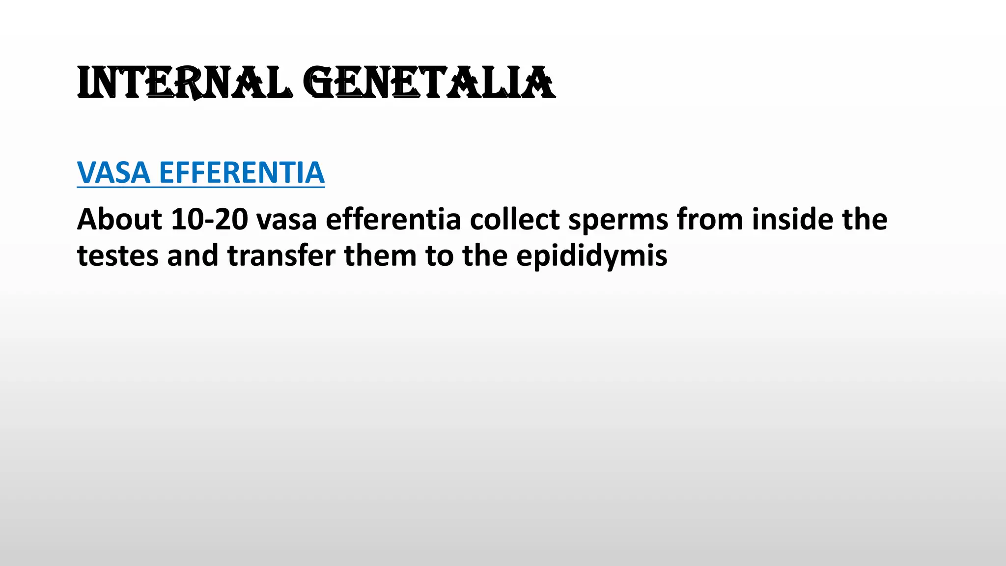 Reproductive System Lecture 1 Pdf Infertility Reproductive Health