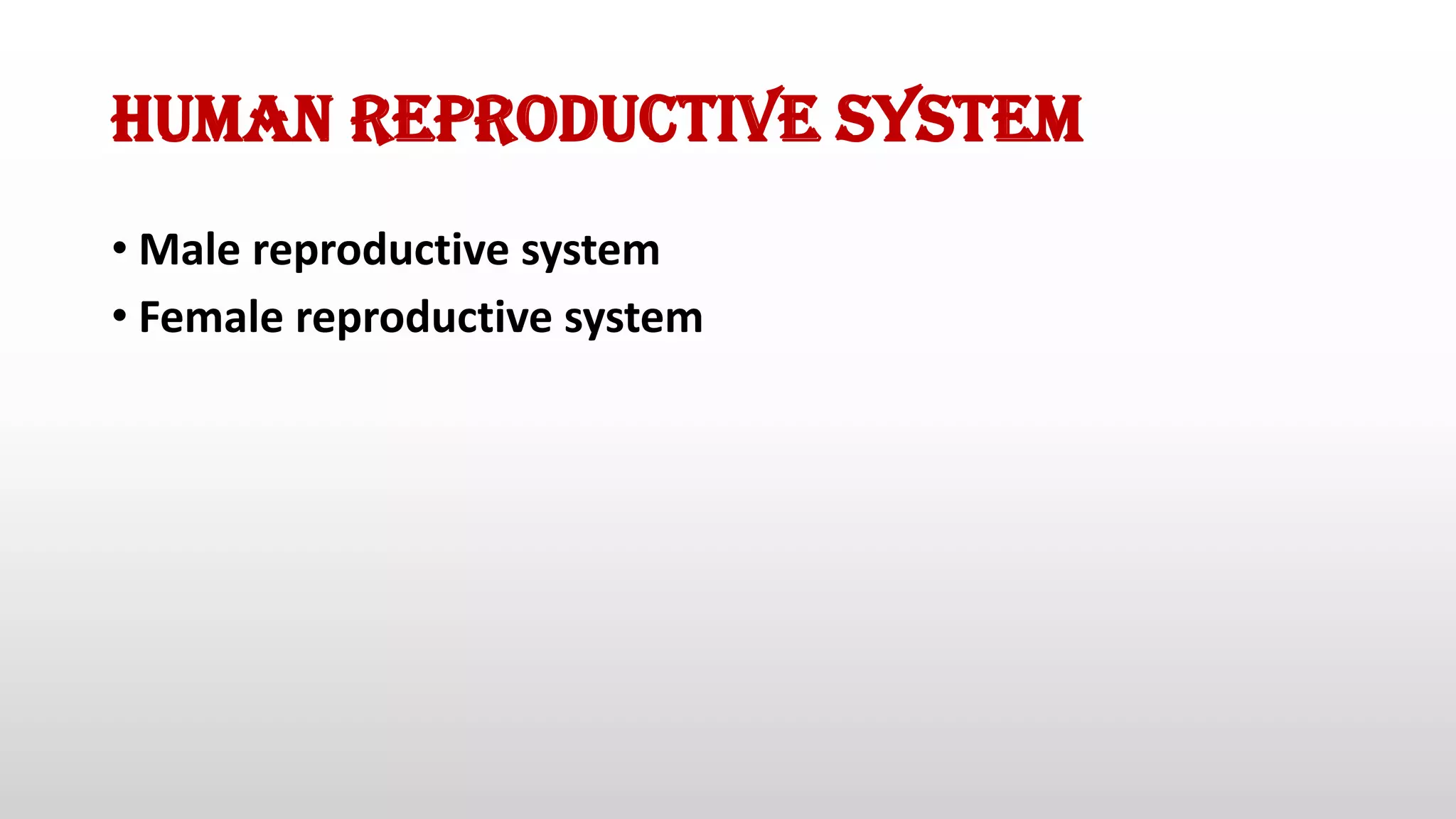 Reproductive System Lecture 1 Pdf Infertility Reproductive Health