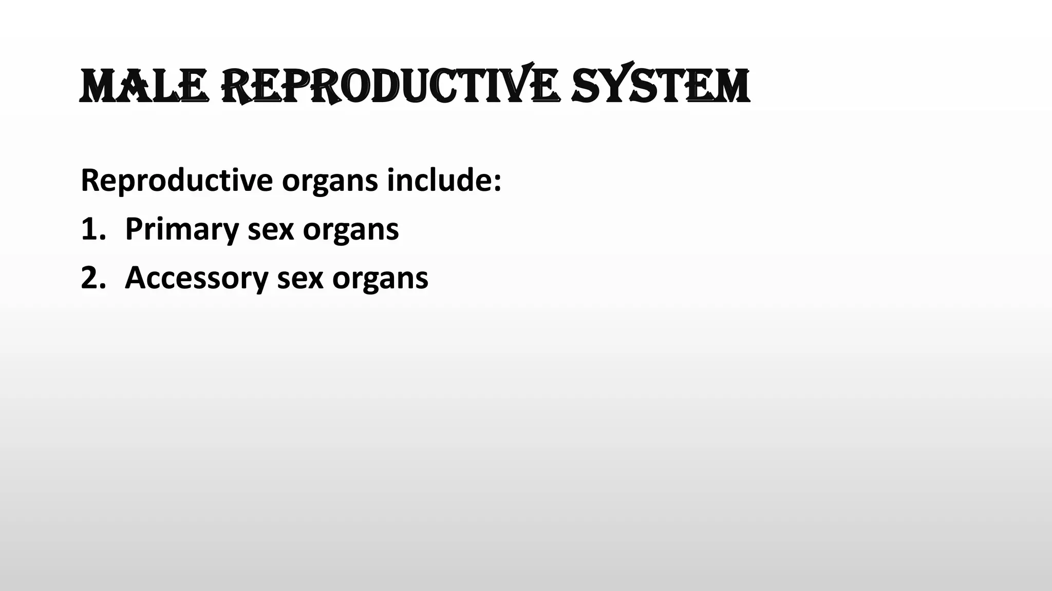 Reproductive System Lecture 1 Pdf Infertility Reproductive Health