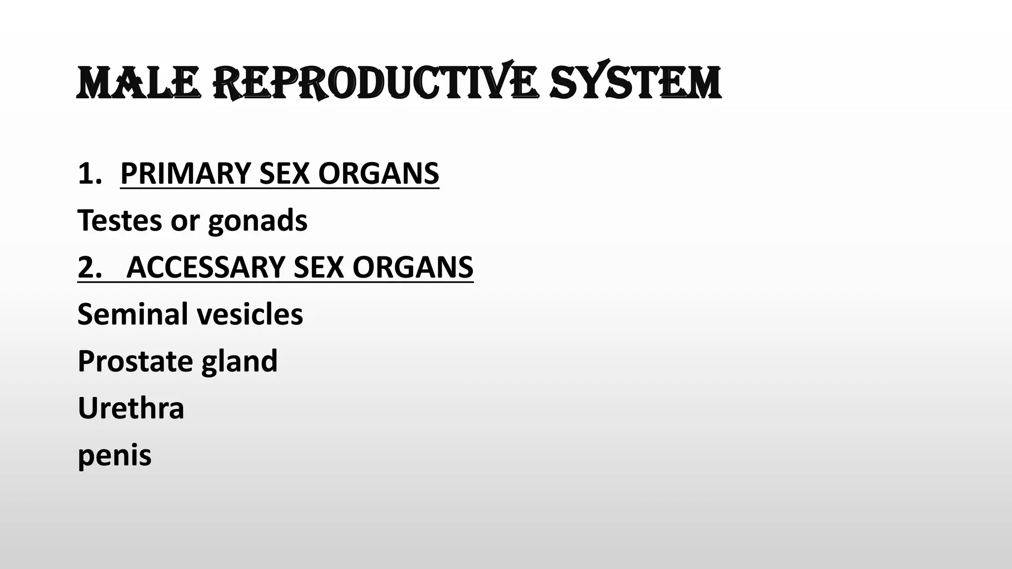 Reproductive System Lecture 1 Pdf Infertility Reproductive Health
