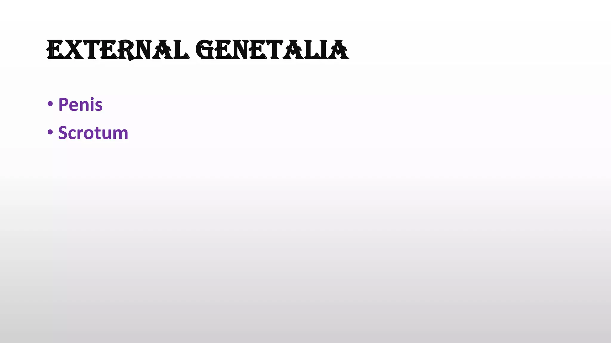 Reproductive System Lecture 1 Pdf Infertility Reproductive Health