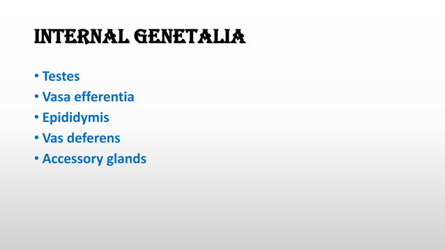 Reproductive System Lecture 1 Pdf Infertility Reproductive Health