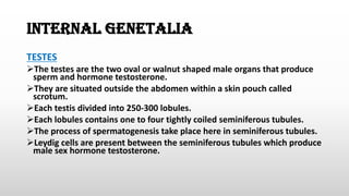 Reproductive System Lecture 1.pdf | Infertility | Reproductive Health