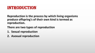 Reproductive System Lecture 1.pdf | Infertility | Reproductive Health