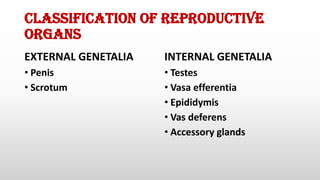 Reproductive System Lecture 1.pdf | Infertility | Reproductive Health