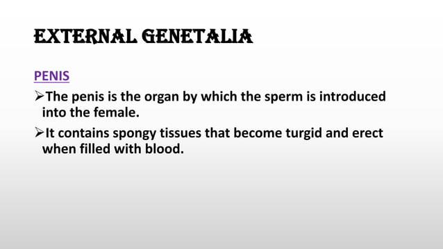 Reproductive System Lecture 1 Pdf Infertility Reproductive Health