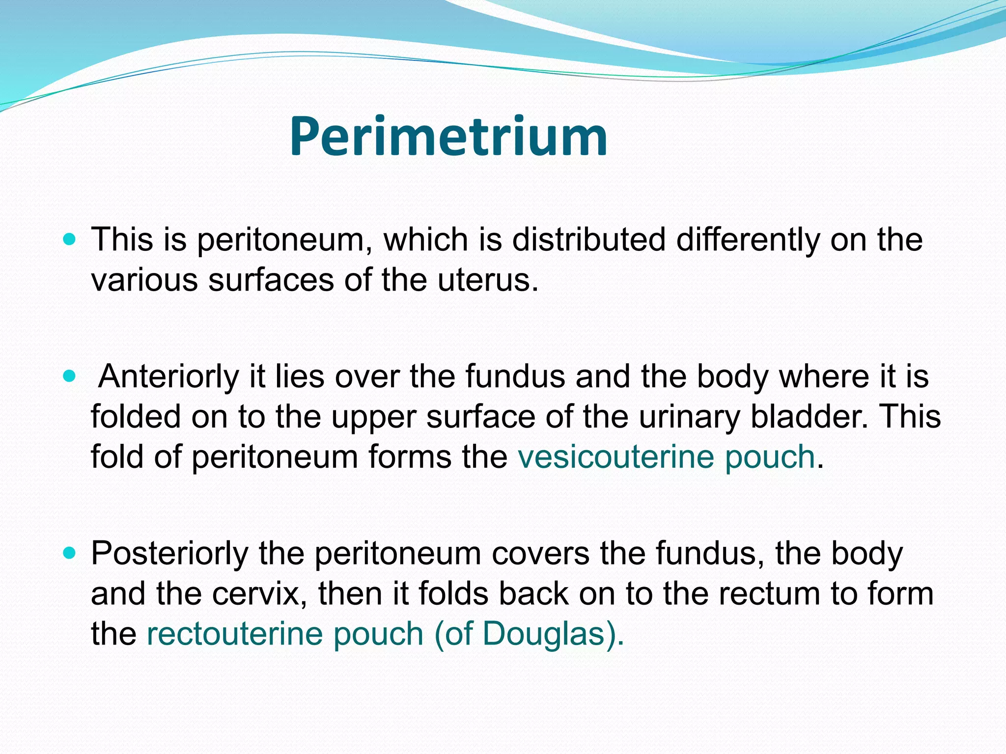 REPRODUCTIVE SYSTEM.pptx