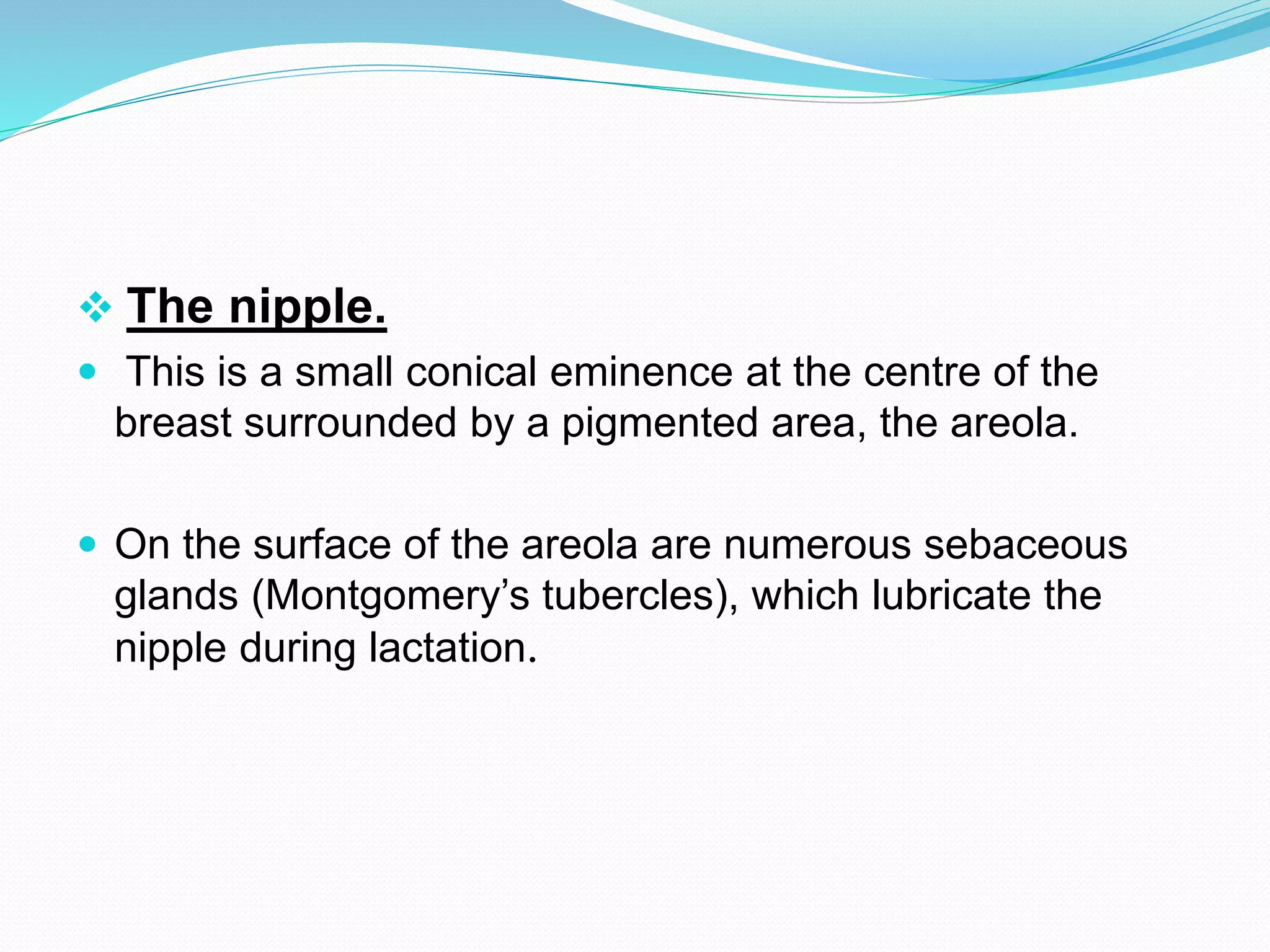 REPRODUCTIVE SYSTEM.pptx