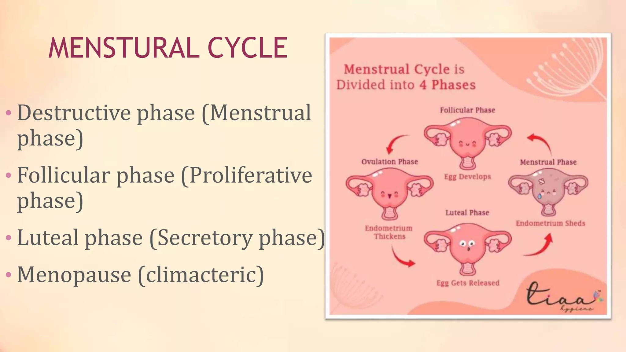 REPRODUCTIVE SYSTEM.pptx