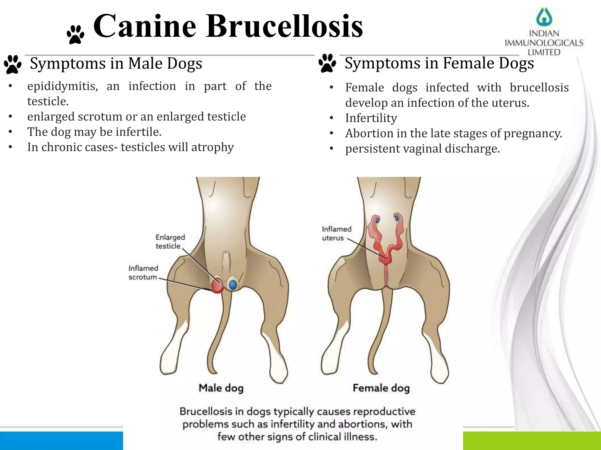 Reproductive system.pptx