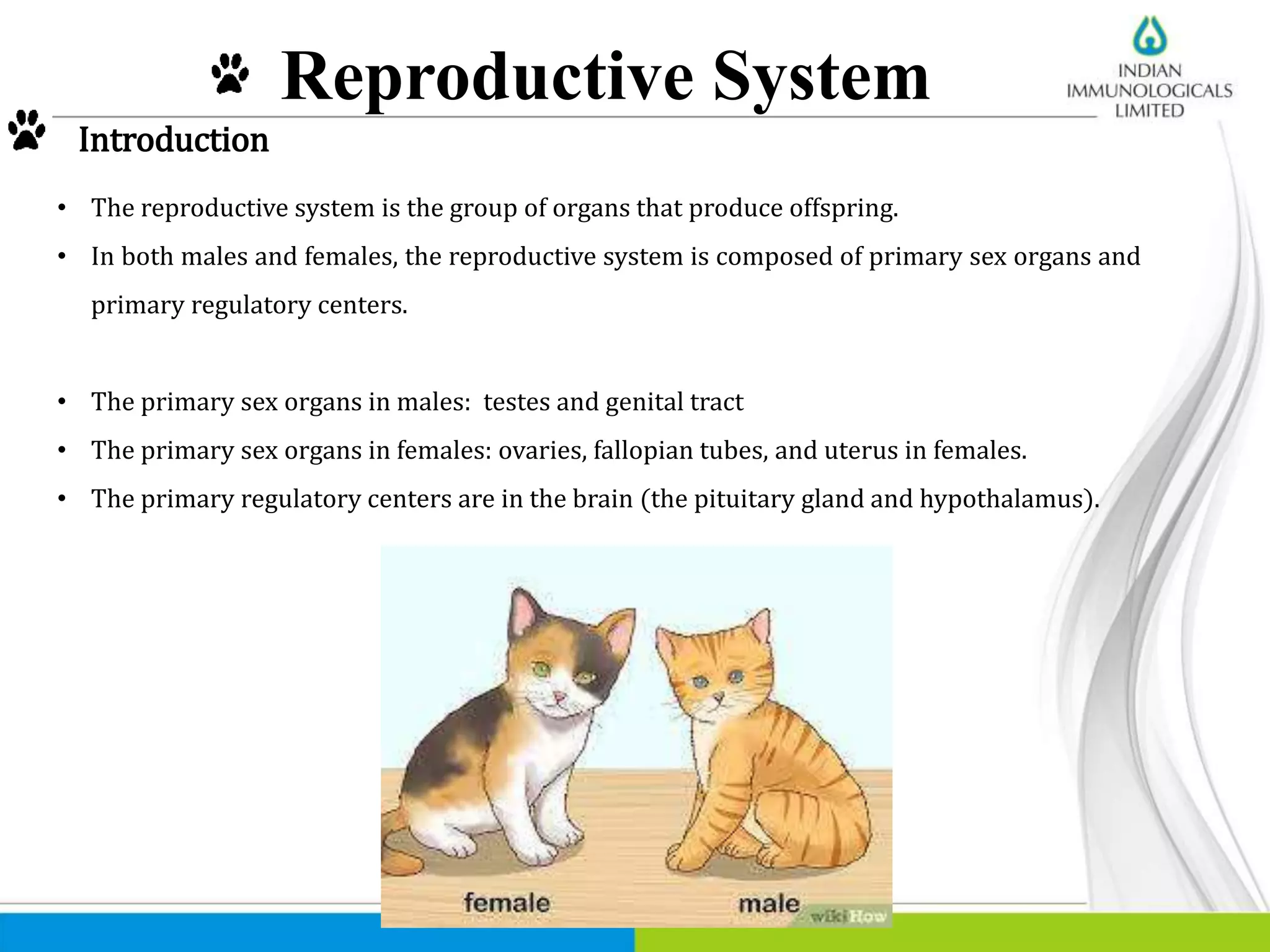 Reproductive system.pptx