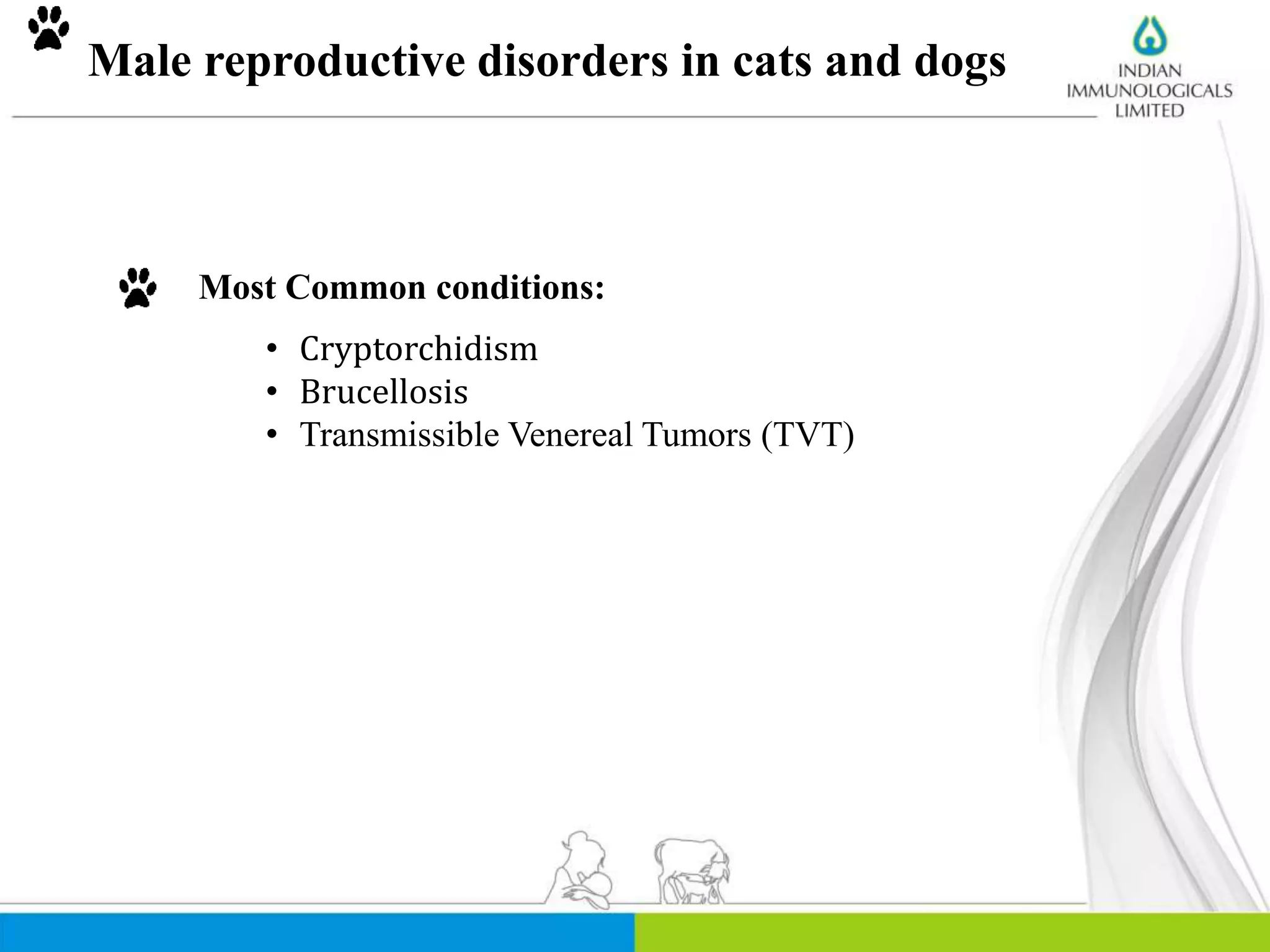 Reproductive system.pptx