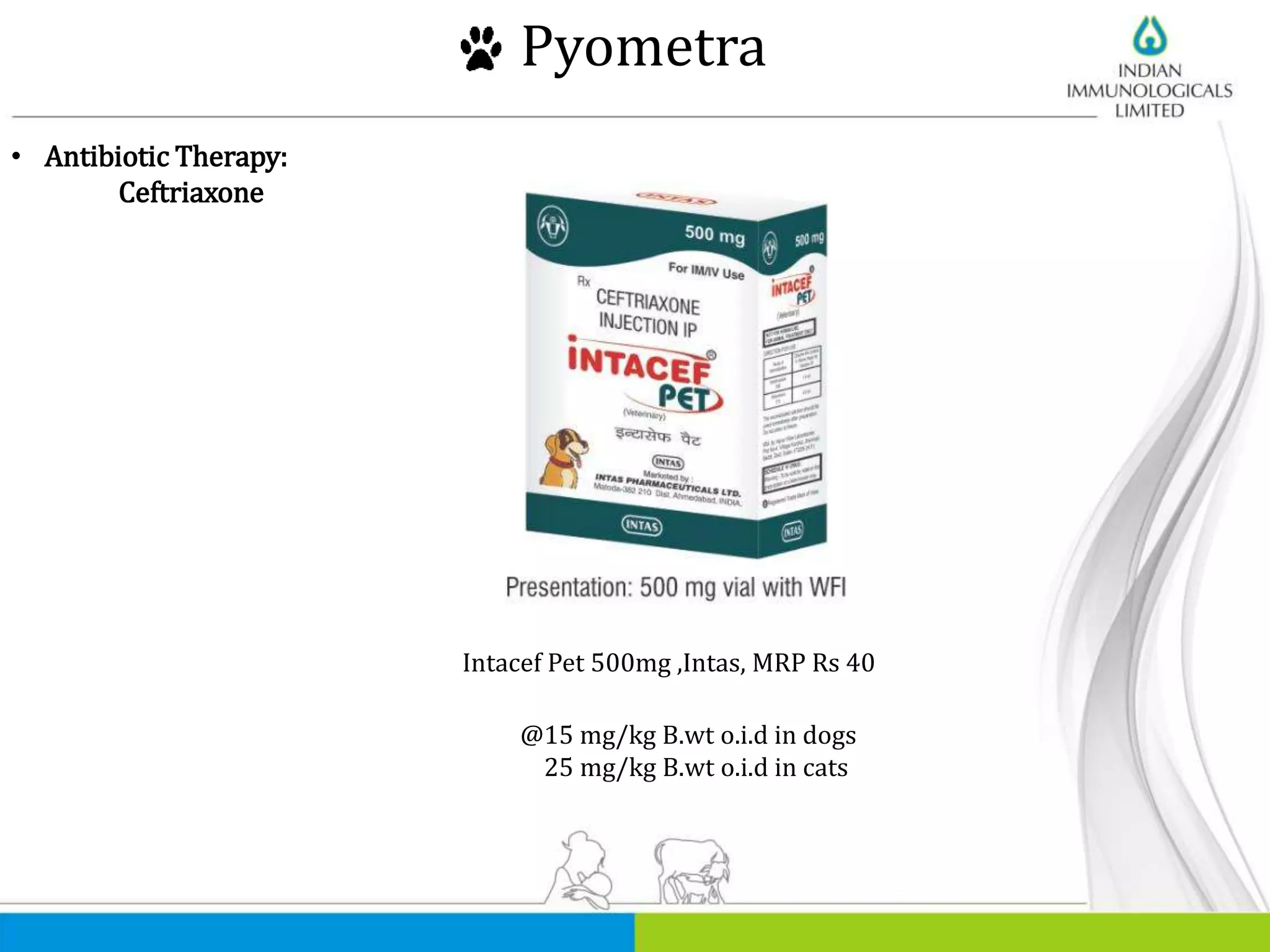 Reproductive system.pptx