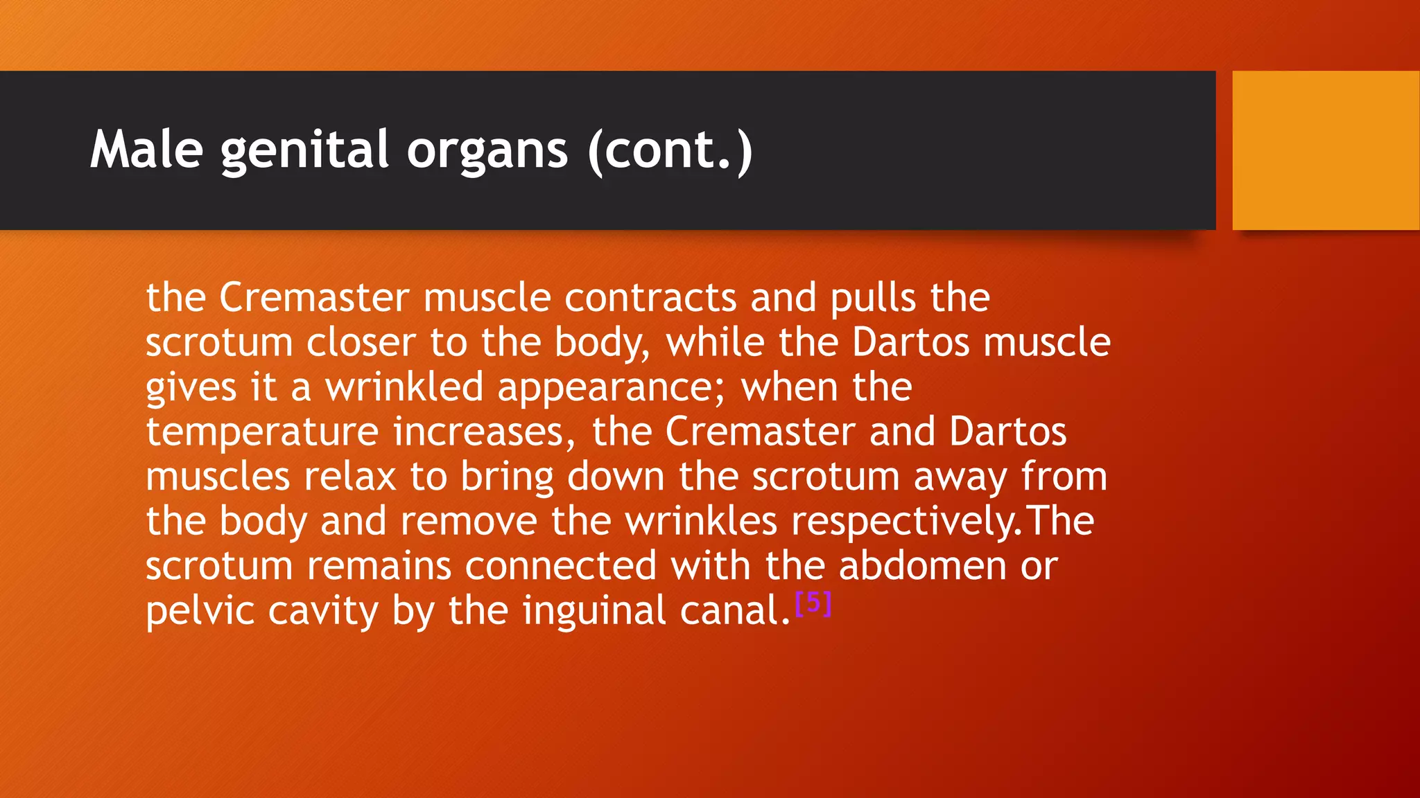 Reproductive System.pptx
