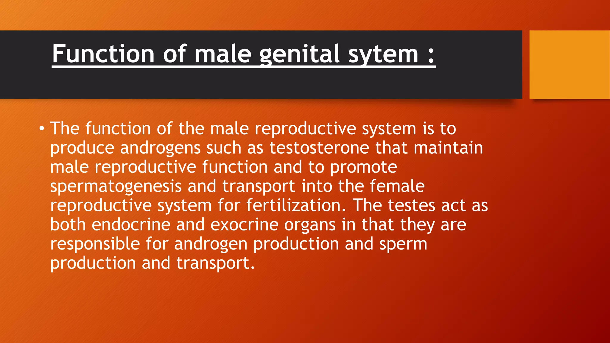 Reproductive System.pptx