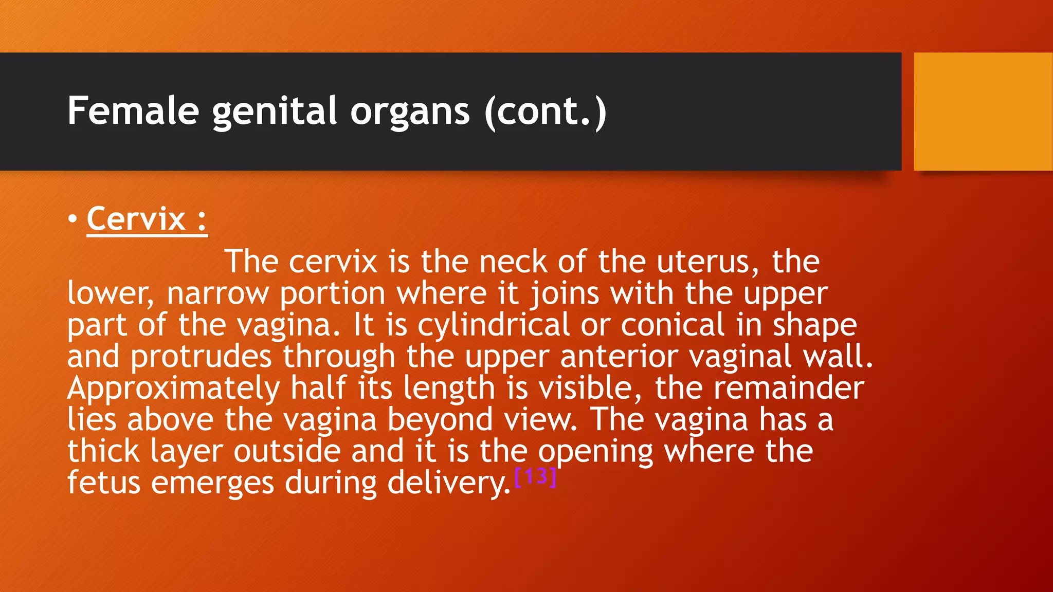 Reproductive System.pptx