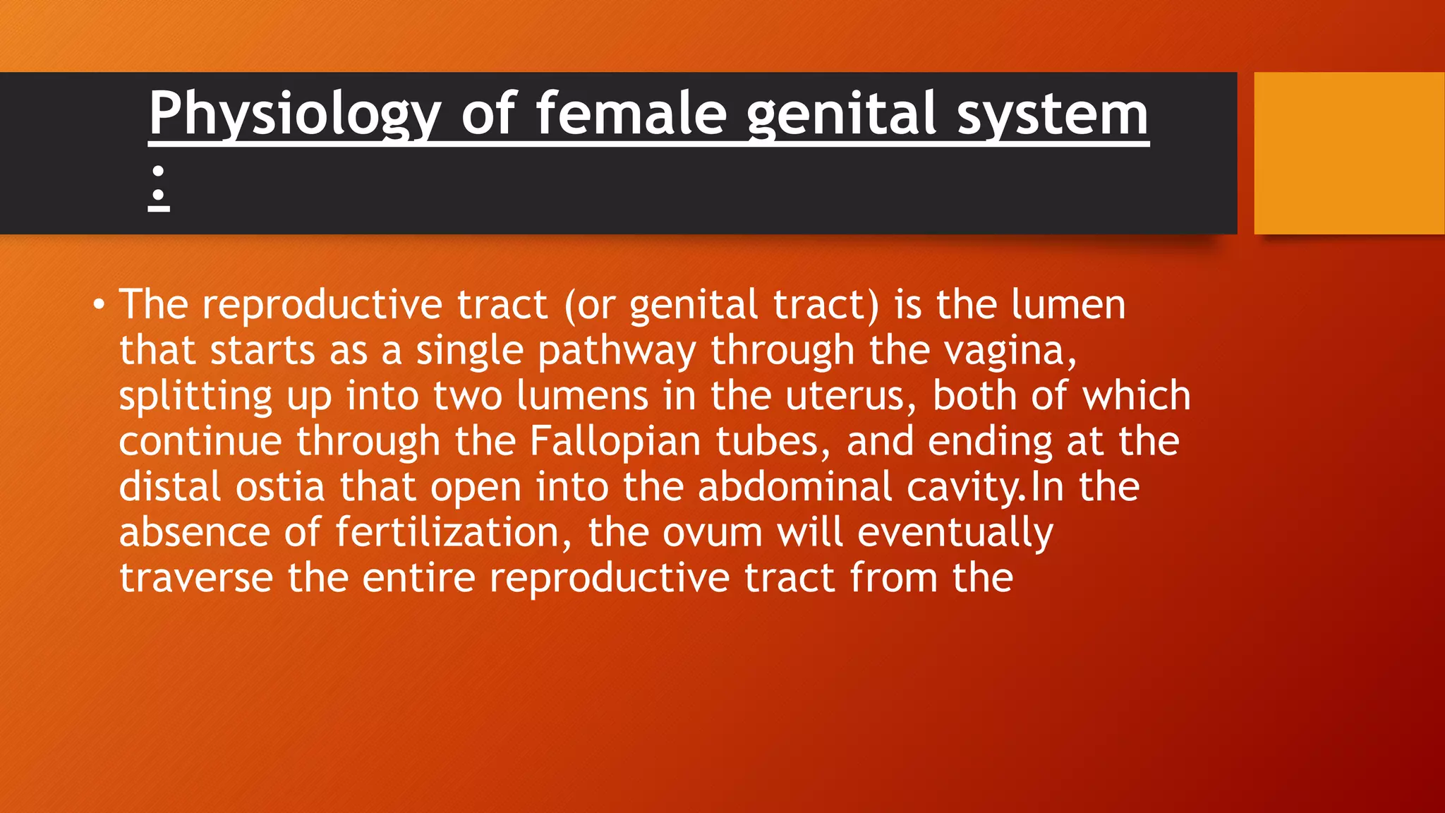 Reproductive System.pptx