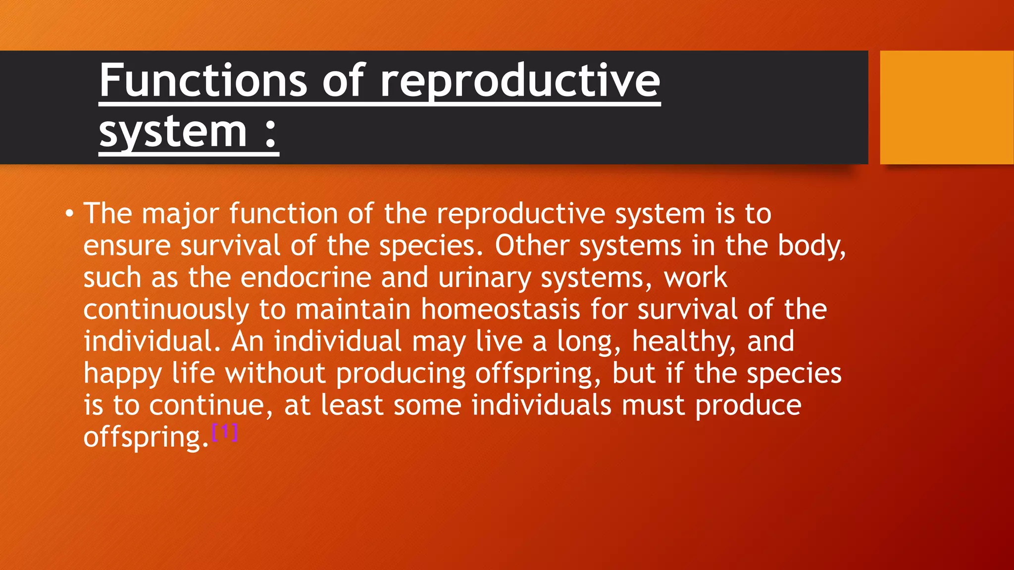 Reproductive System.pptx