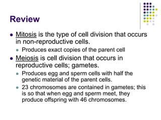 Reproductive System.ppt