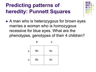 Reproductive System.ppt