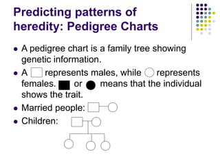 Reproductive System.ppt