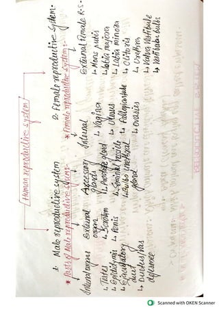 Reproductive system.pdf