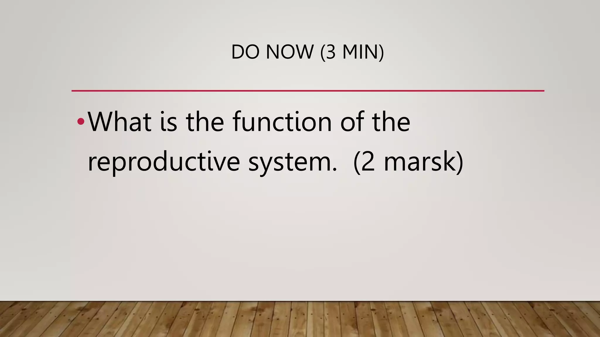 Reproductive System Pptx