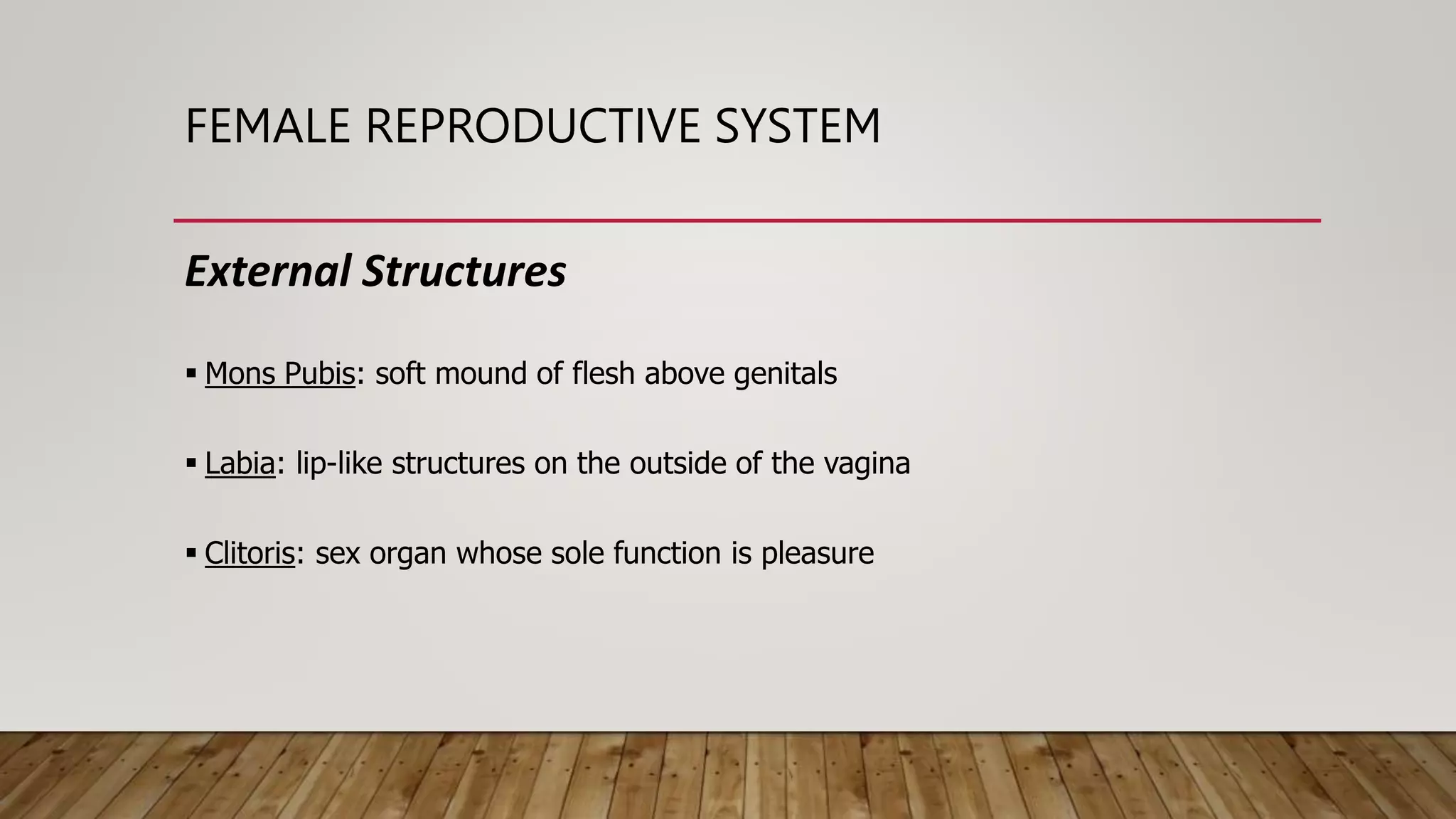 Reproductive system.pptx