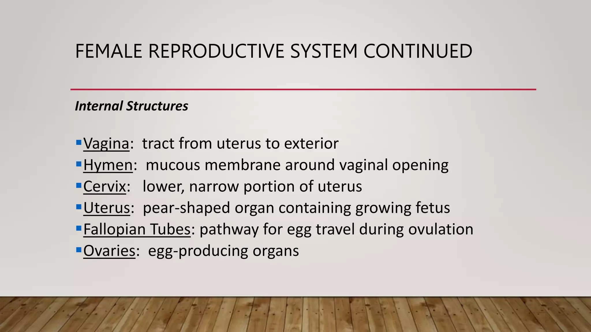 Reproductive system.pptx