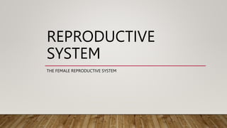Reproductive system.pptx