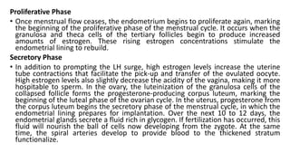 reproductive system.pptx