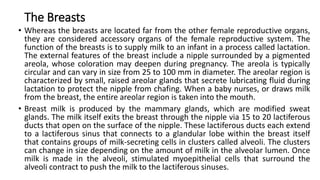 reproductive system.pptx